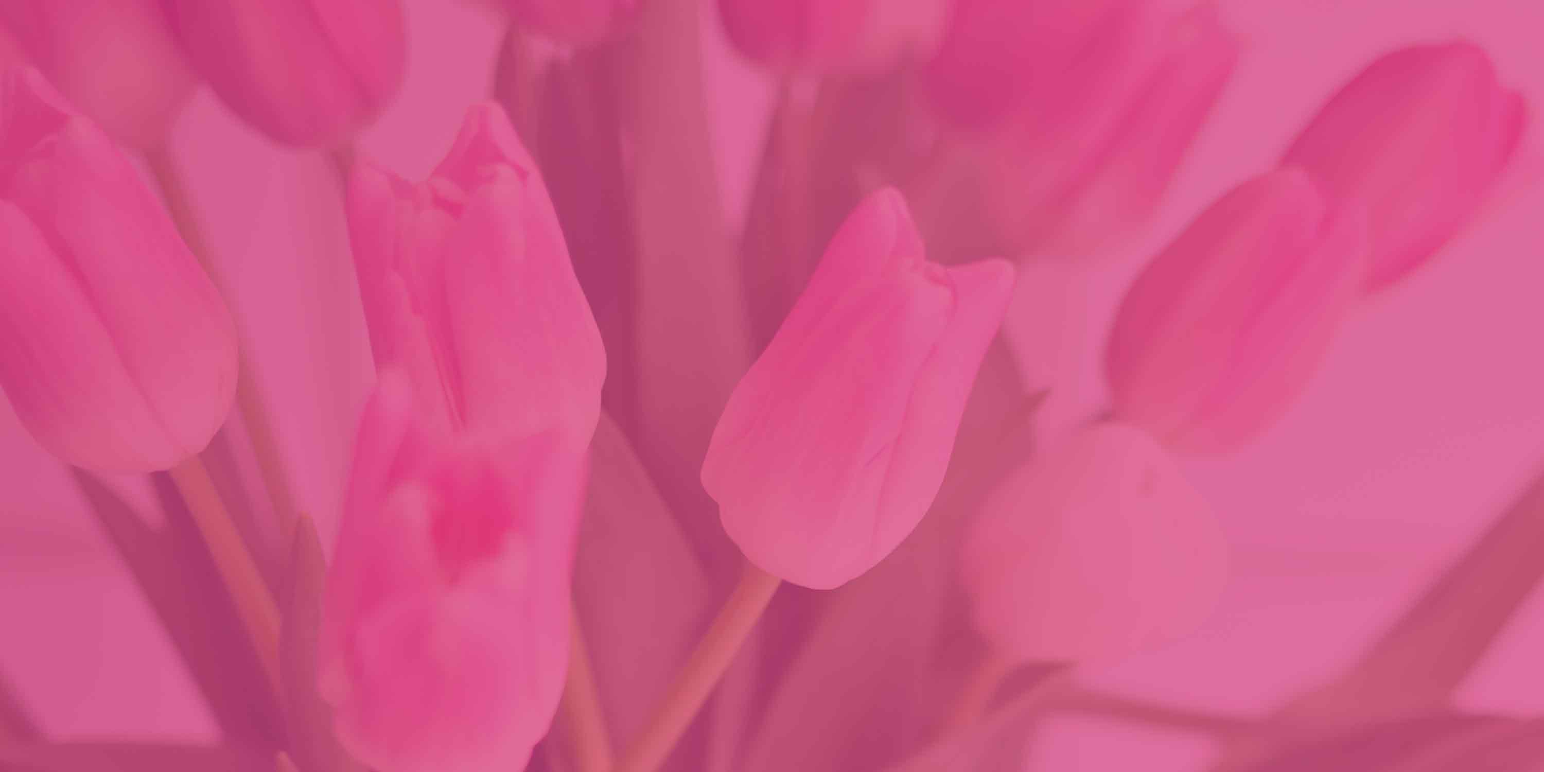 Dr Libby : Holistic Nutrition Specialist